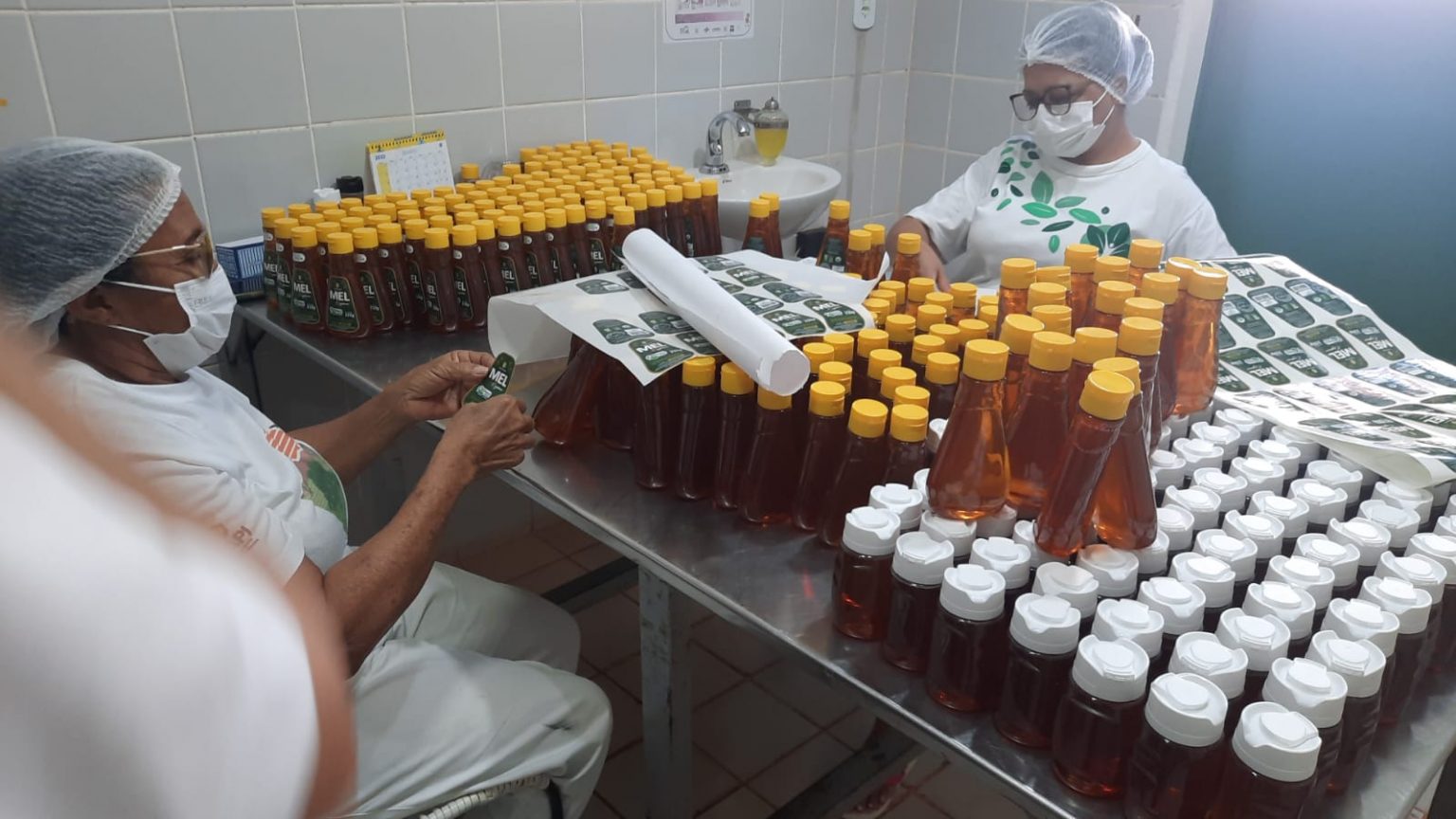 Investe PI articula 1ª exportação de mel de cooperativa para o Japão e ...
